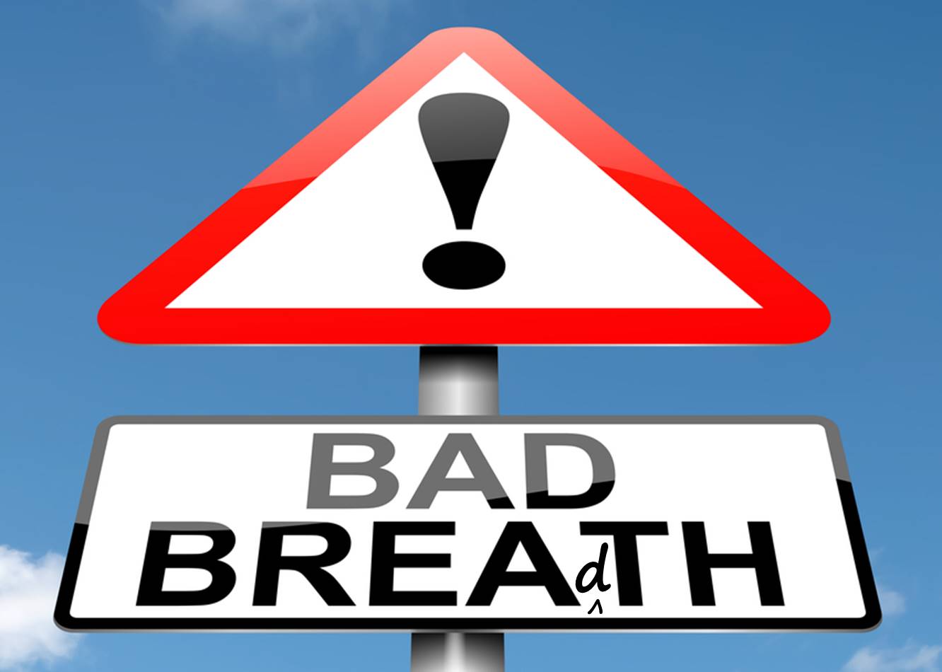 Bad Breadth | The Lyons Share